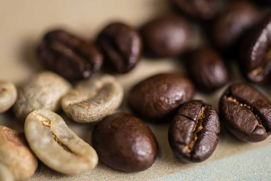 Coffeeway | Coffeeway, From bean to Cup